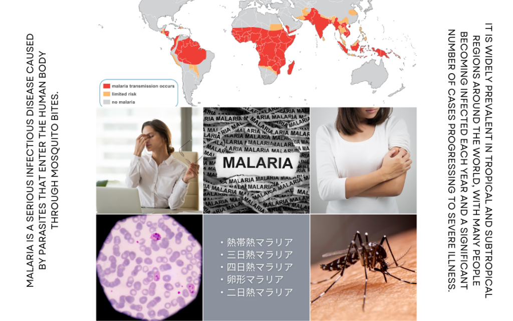マラリア（Malaria） – 感染症 - 神戸きしだクリニック（神戸市中央区）