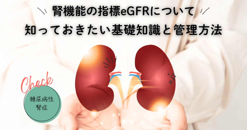 腎機能の指標eGFRについて知っておきたい基礎知識と管理方法 - 神戸きしだクリニック（神戸市中央区）