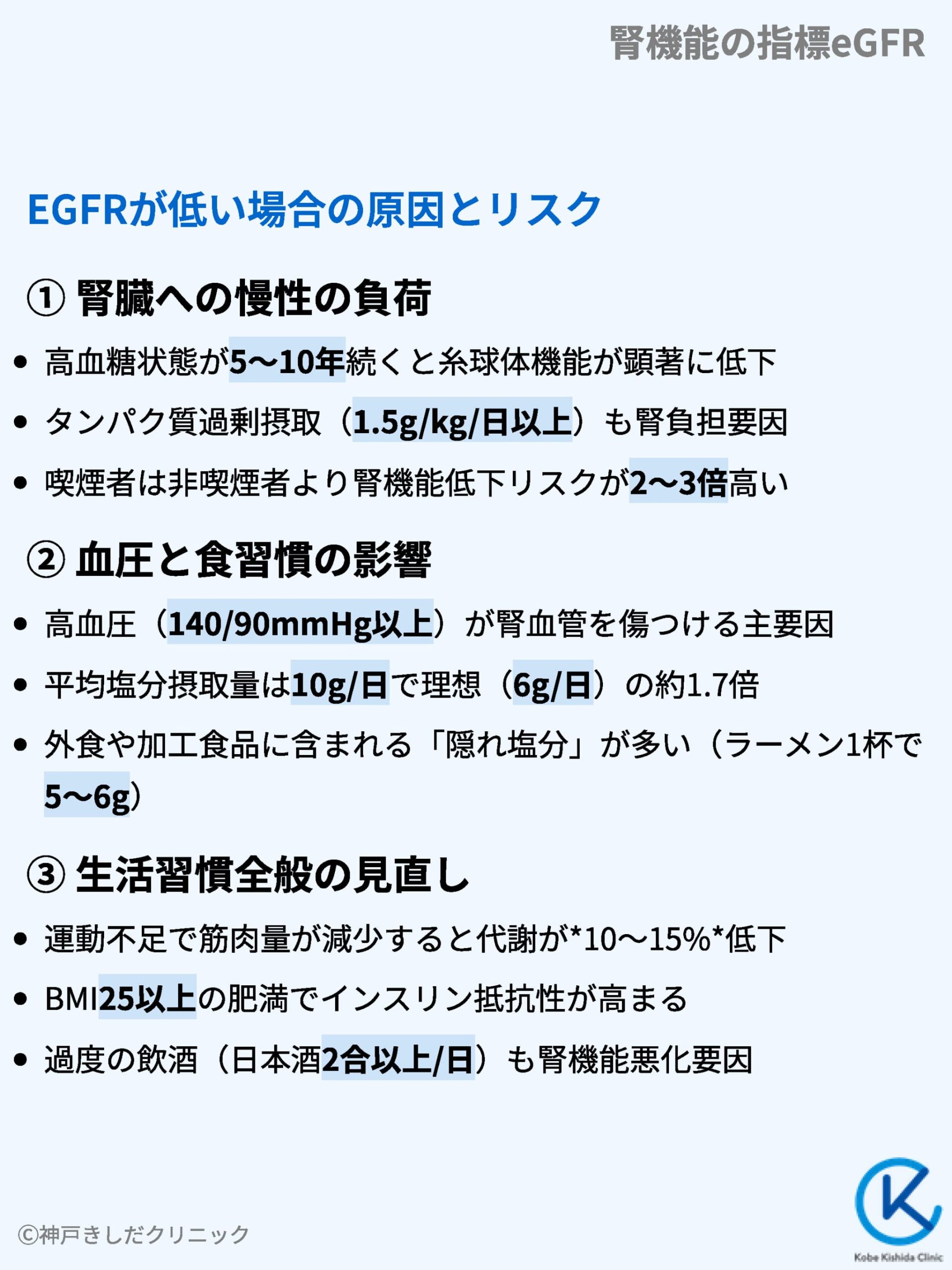 腎機能の指標eGFRについて知っておきたい基礎知識と管理方法 - 神戸きしだクリニック（神戸市中央区）