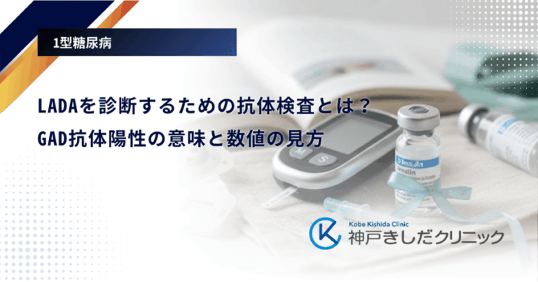 LADAを診断するための抗体検査とは？GAD抗体陽性の意味と数値の見方 - 神戸きしだクリニック（神戸市中央区）